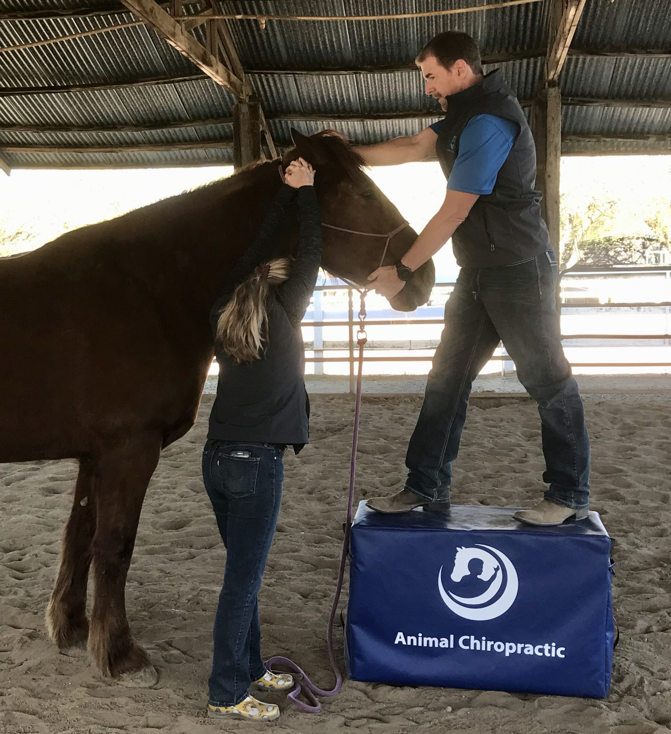 Rancho Murieta Chiropractic – Chirocom