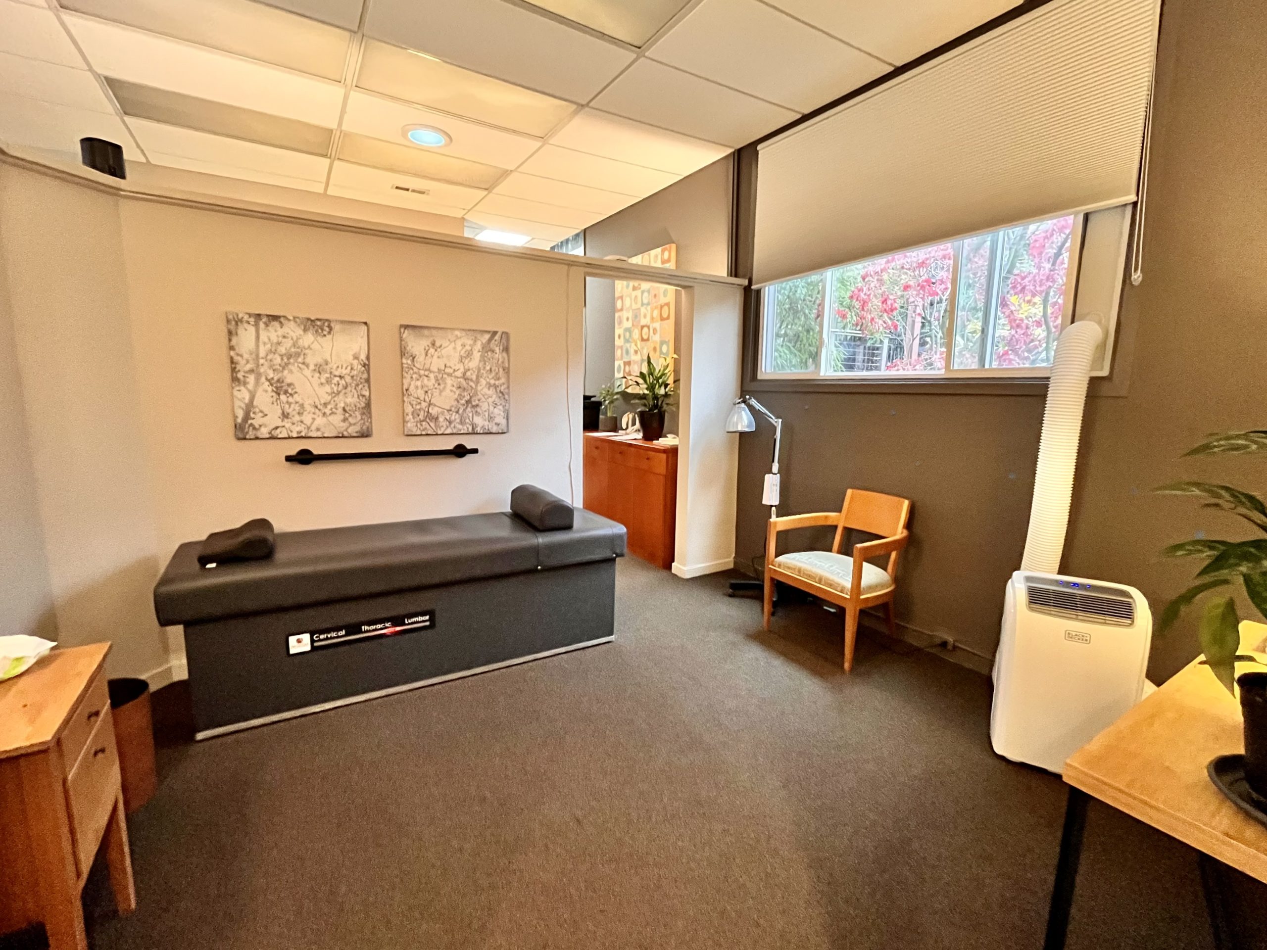 Growing/Thriving Practice for Sale – Chirocom