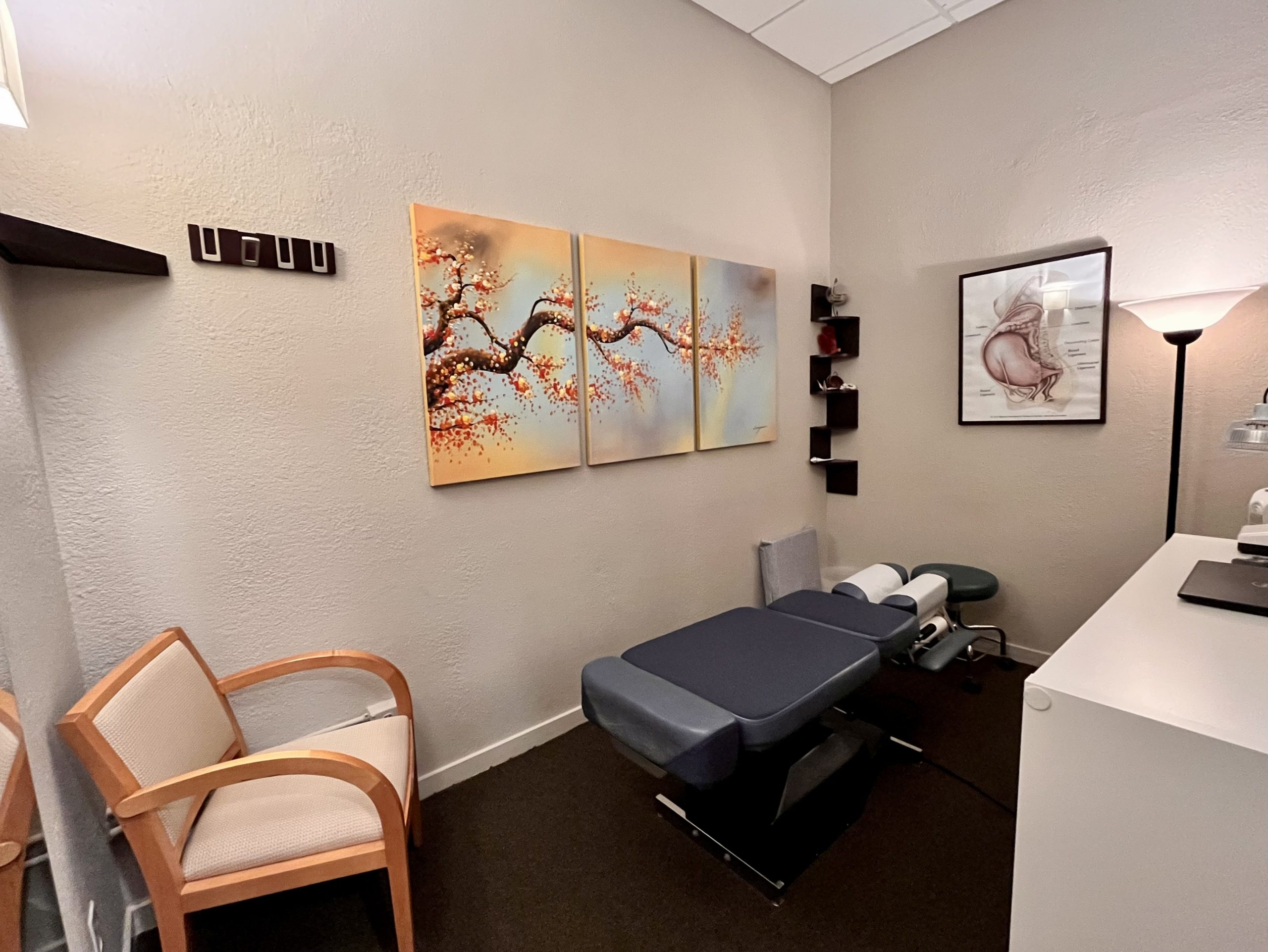 Growing/Thriving Practice for Sale – Chirocom